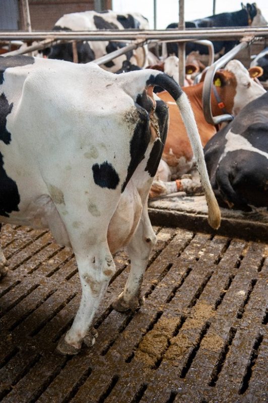 Farm & Agricultural Safety Training Program | Environmental Health and ...